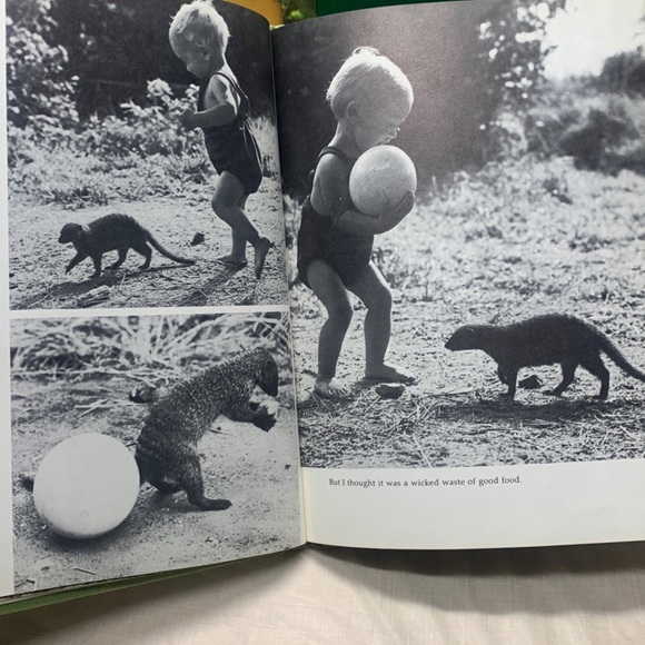 Other | Grub The Bush Baby By Jane Goodall Hardcover 1998 African Bush ...